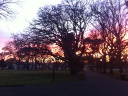 The RESPECT Study for consensus on global bereavement care after ...