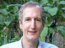 Dissolved rare earth elements in the North Pacific Subtropical Gyre ...