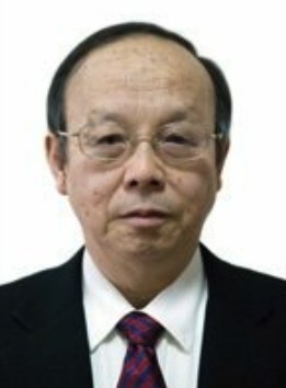 A fully degradable transcatheter ventricular septal defect occluder ...