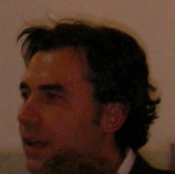 An amplicon-based sequencing approach for Usutu virus characterization ...