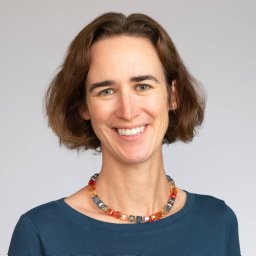 Representing Student Argumentation as Functionally Emergent From ...